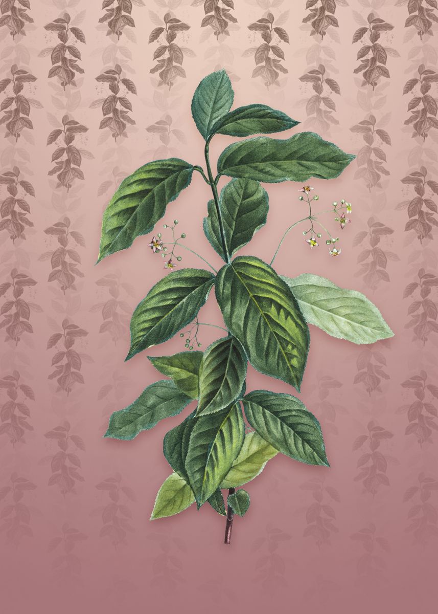 'Vintage Broadleaf Spindle' Poster, picture, metal print, paint by Holy ...