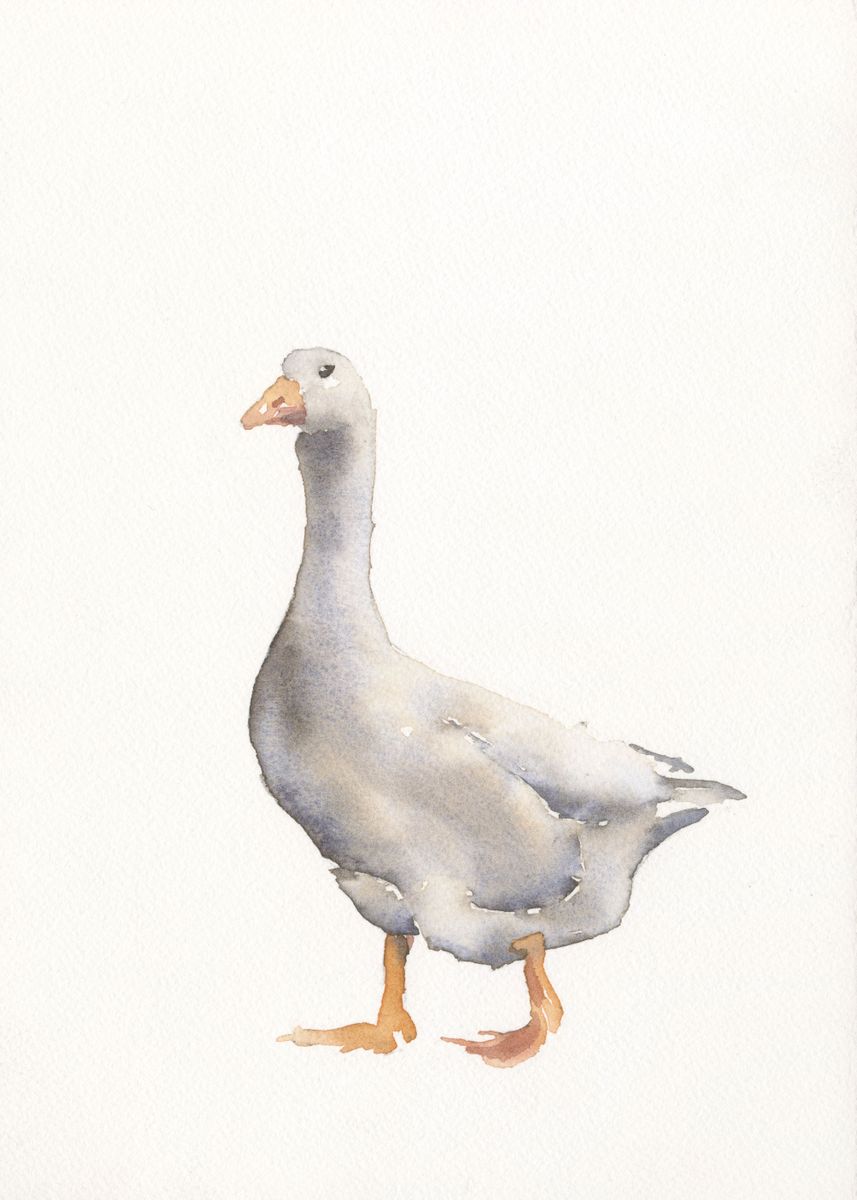 'Goose watercolor painting ' Poster, picture, metal print, paint by ...