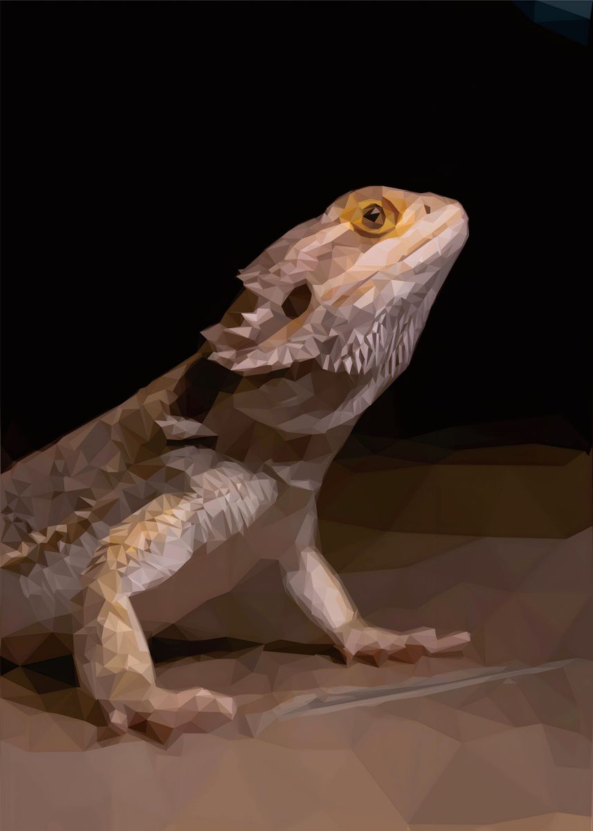 'Low Poly Lizard' Poster, picture, metal print, paint by Yudha | Displate