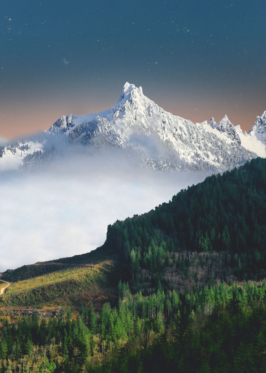 'Snowy Mountains in Forest' Poster by Max Ronn | Displate
