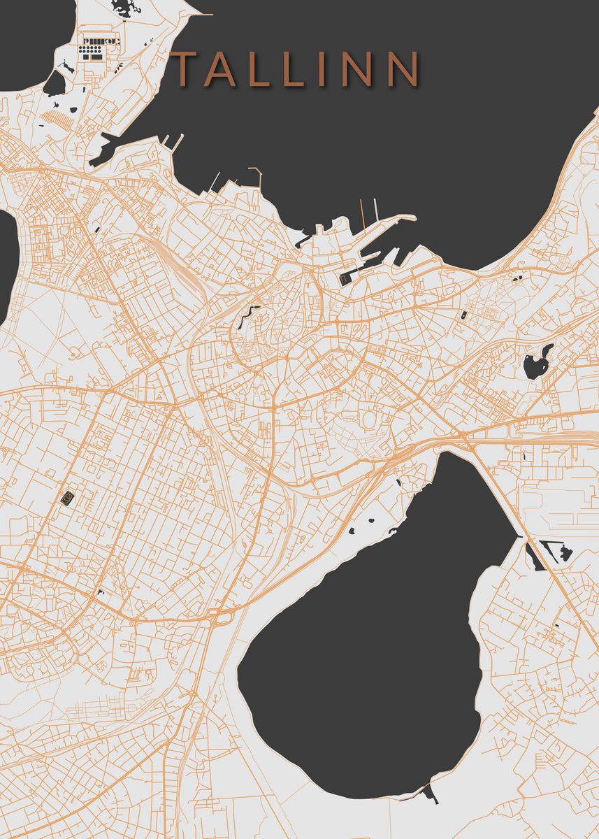'Tallinn City Map' Poster, picture, metal print, paint by dkDesign ...