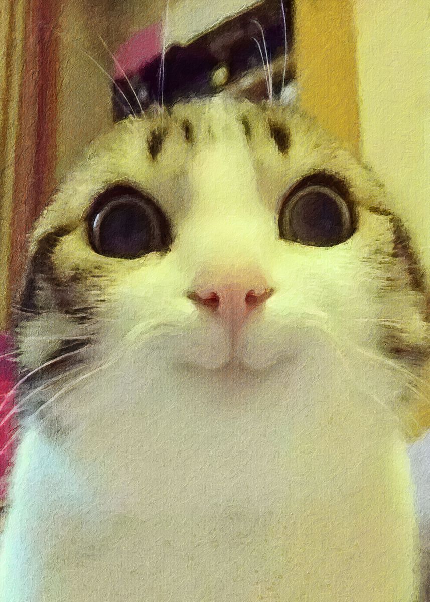 'Cat meme' Poster, picture, metal print, paint by Meme Daily | Displate