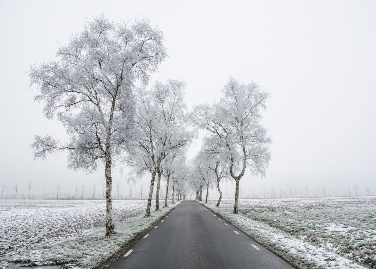 'Frosty Road to where' Poster by Stephen Bredenkamp | Displate