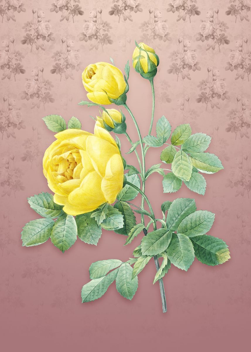 'Vintage Yellow Rose' Poster, picture, metal print, paint by Holy Rock ...