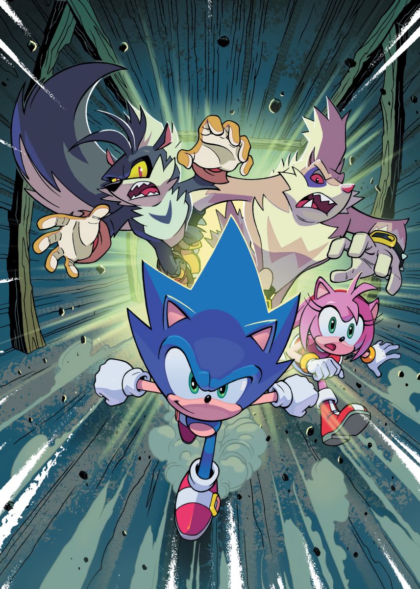 'Sonic Speed' Poster, picture, metal print, paint by Sonic the Hedgehog ...