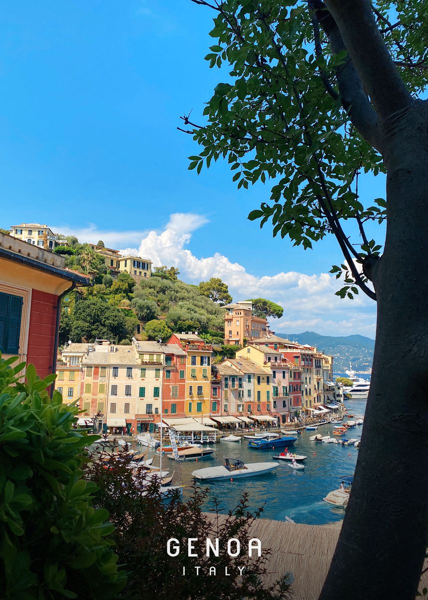 'Genoa' Poster, picture, metal print, paint by Famous City | Displate