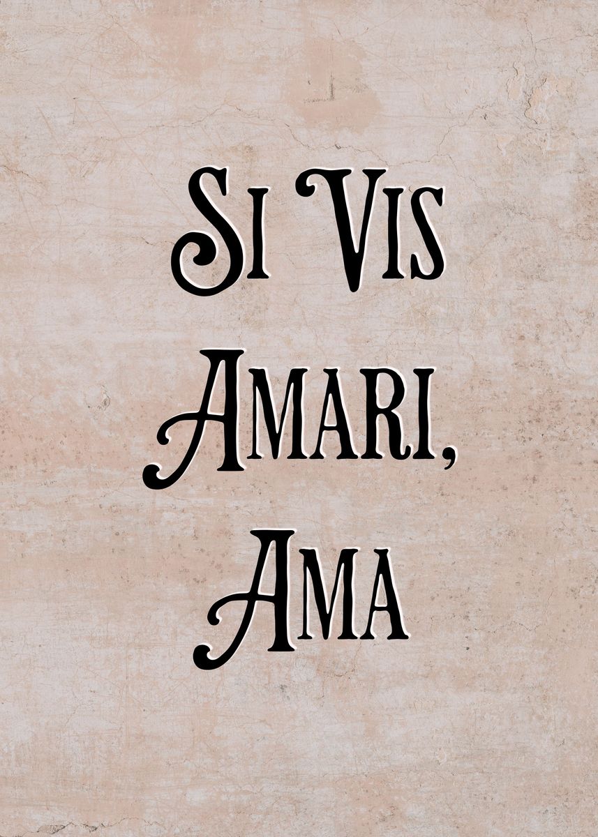 'Latin Quote Loved Love' Poster, picture, metal print, paint by Jovana ...