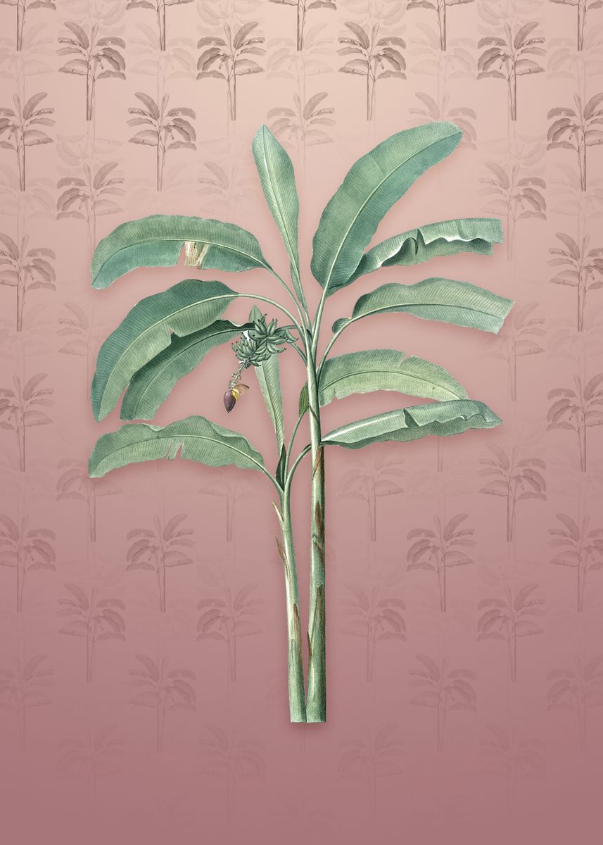 'Vintage Banana Tree' Poster, picture, metal print, paint by Holy Rock ...