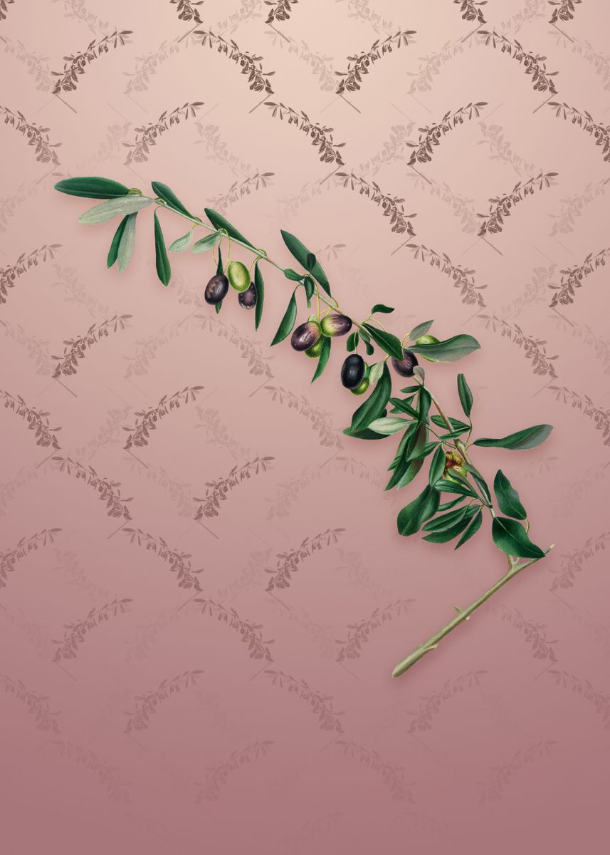 'Olives on Dusty Pink' Poster, picture, metal print, paint by Holy Rock ...
