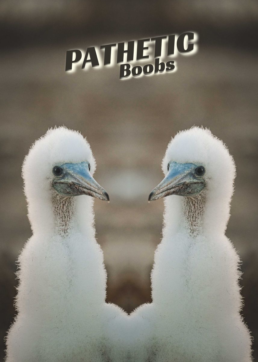 'Pathetic Boobs Poster' Poster by Artistic Prints | Displate