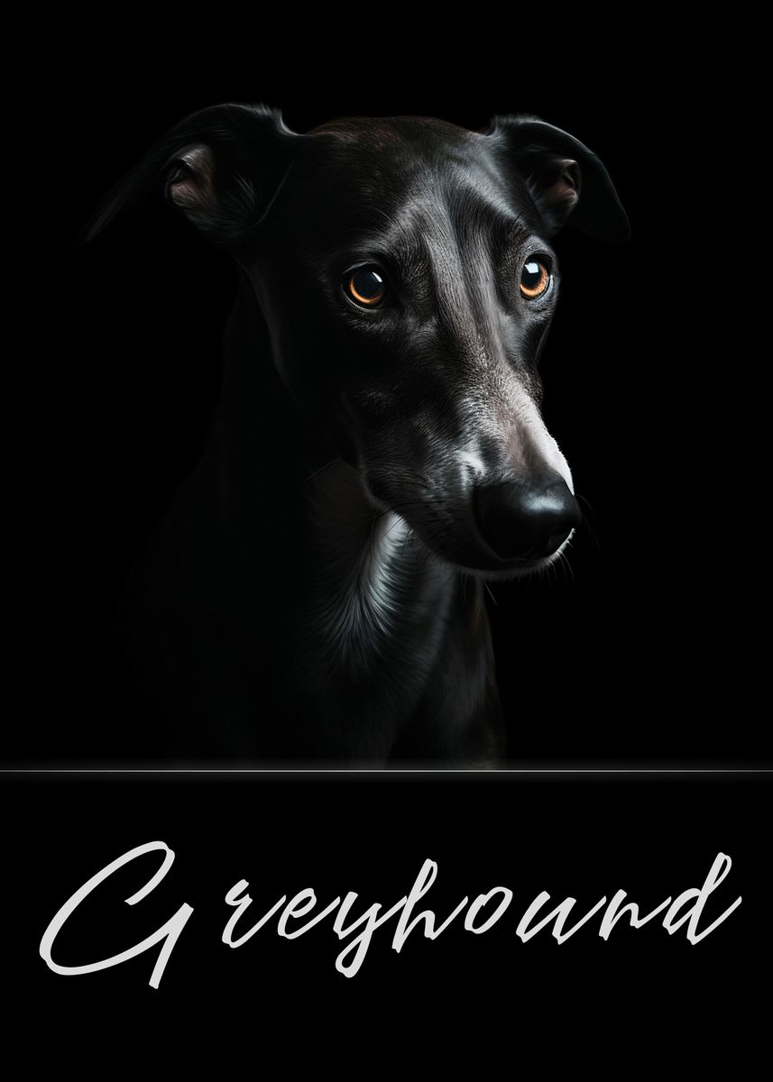 'Greyhound' Poster, picture, metal print, paint by Van Zelman | Displate