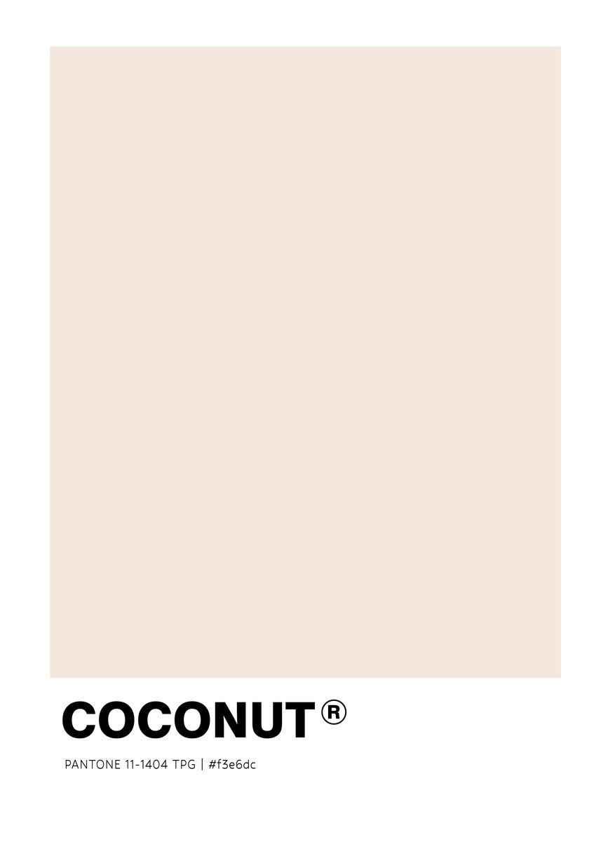 'COCONUT' Poster, picture, metal print, paint by Hakuji Art | Displate