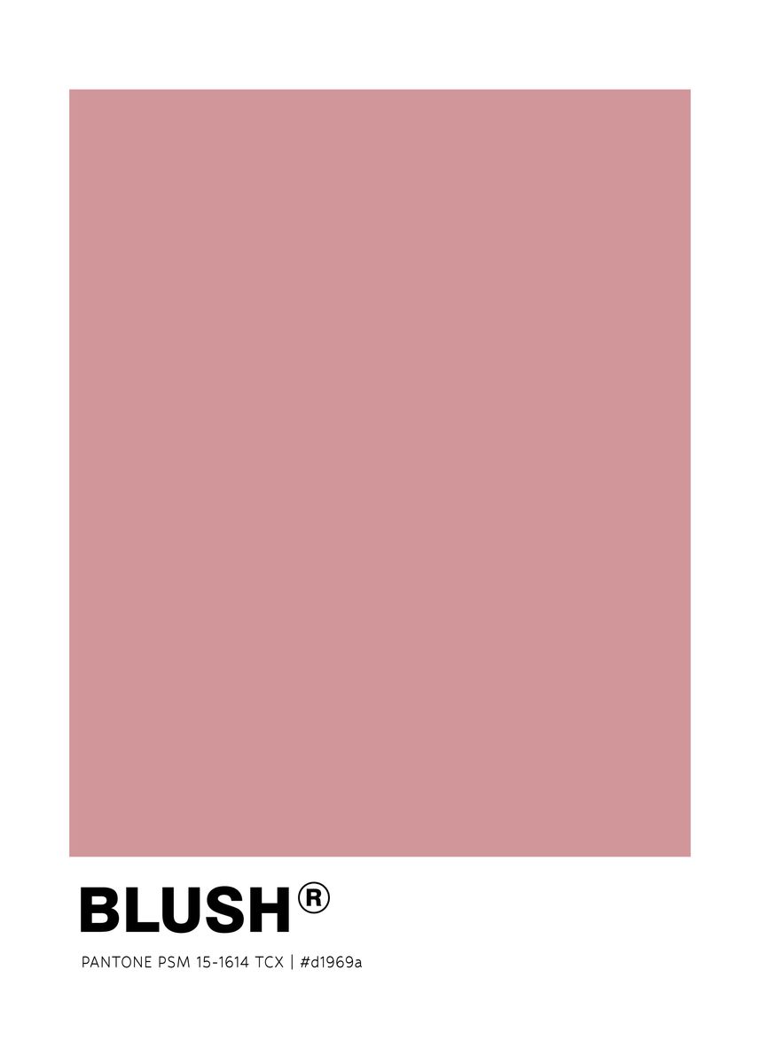 'BLUSH' Poster, picture, metal print, paint by Hakuji Art | Displate
