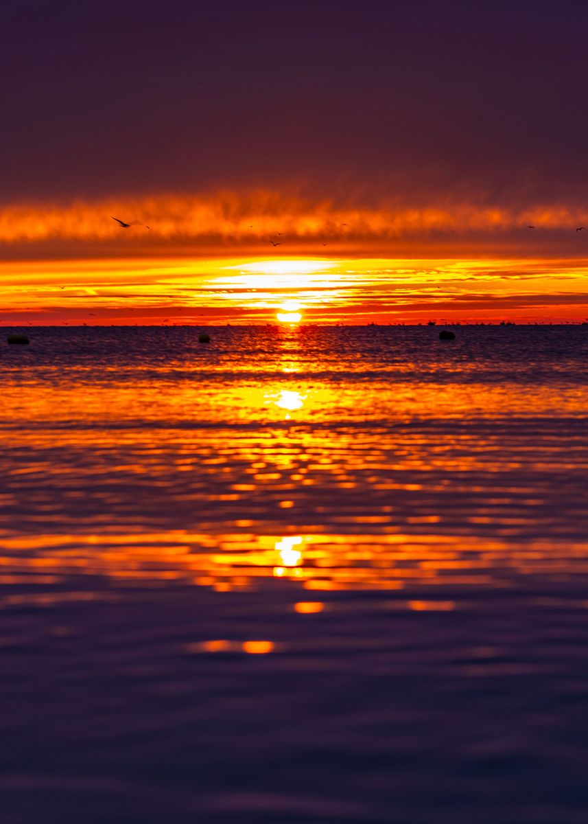 'Sun rise' Poster, picture, metal print, paint by Cosmin | Displate