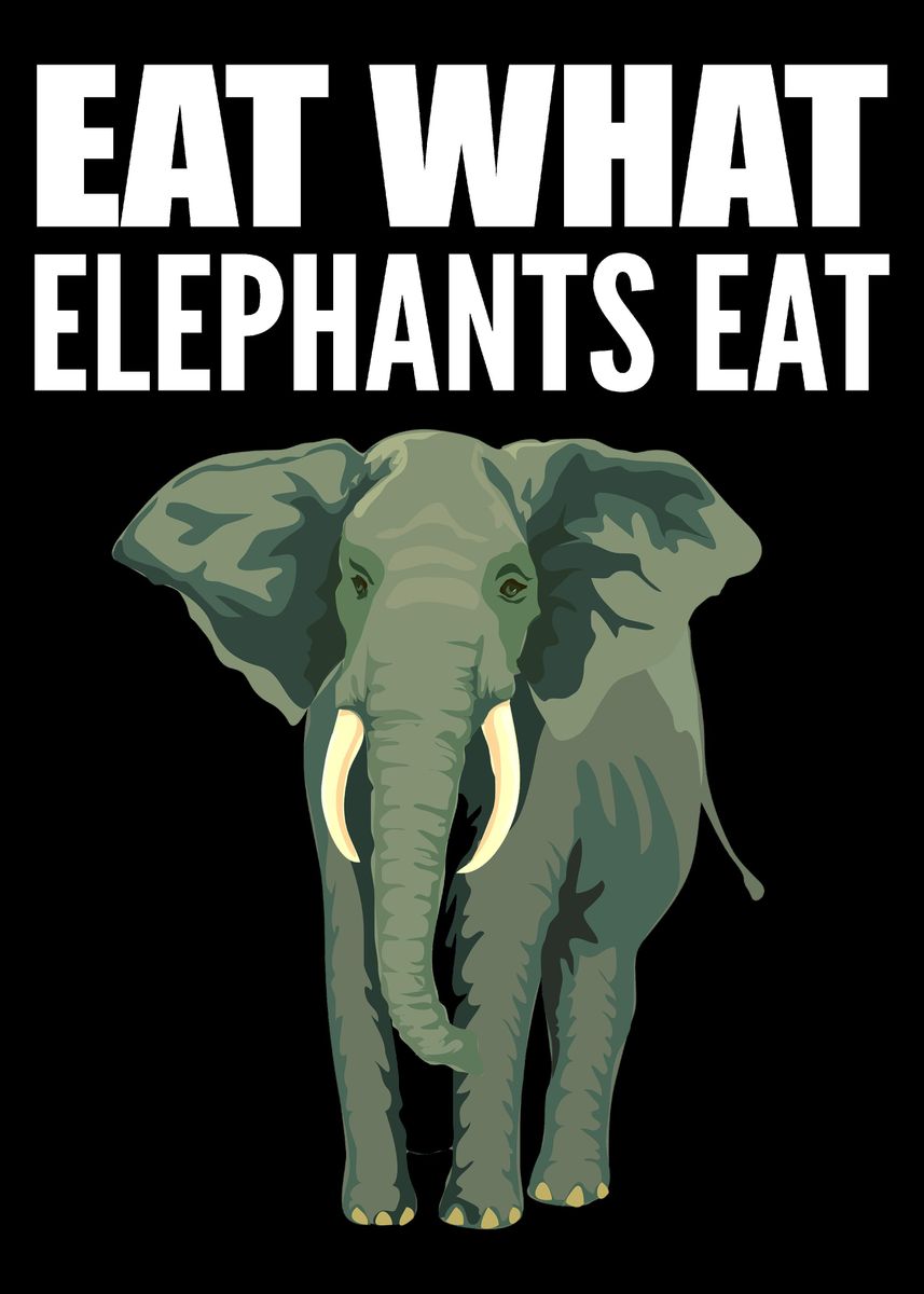 'Elephants Eat Animal Advoc' Poster, picture, metal print, paint by ...