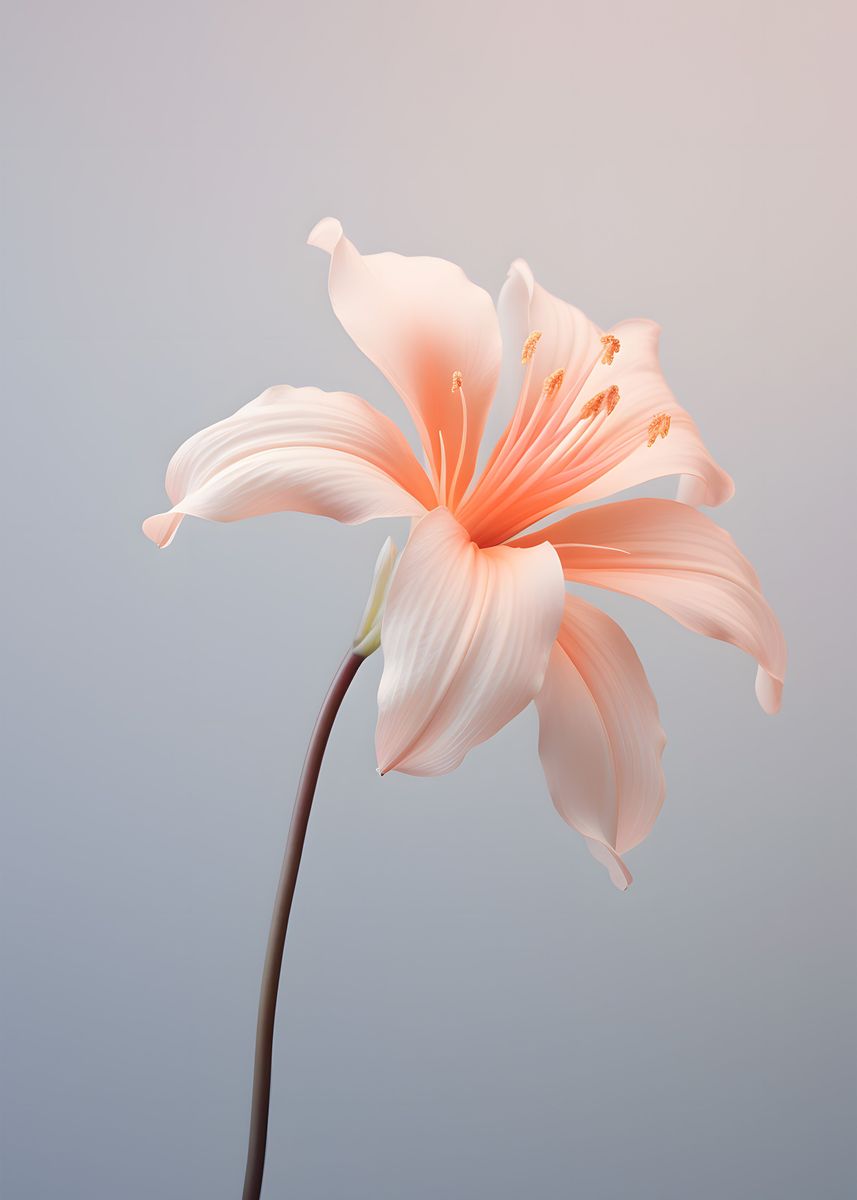 'Single Flower' Poster, picture, metal print, paint by Poster Fam ...