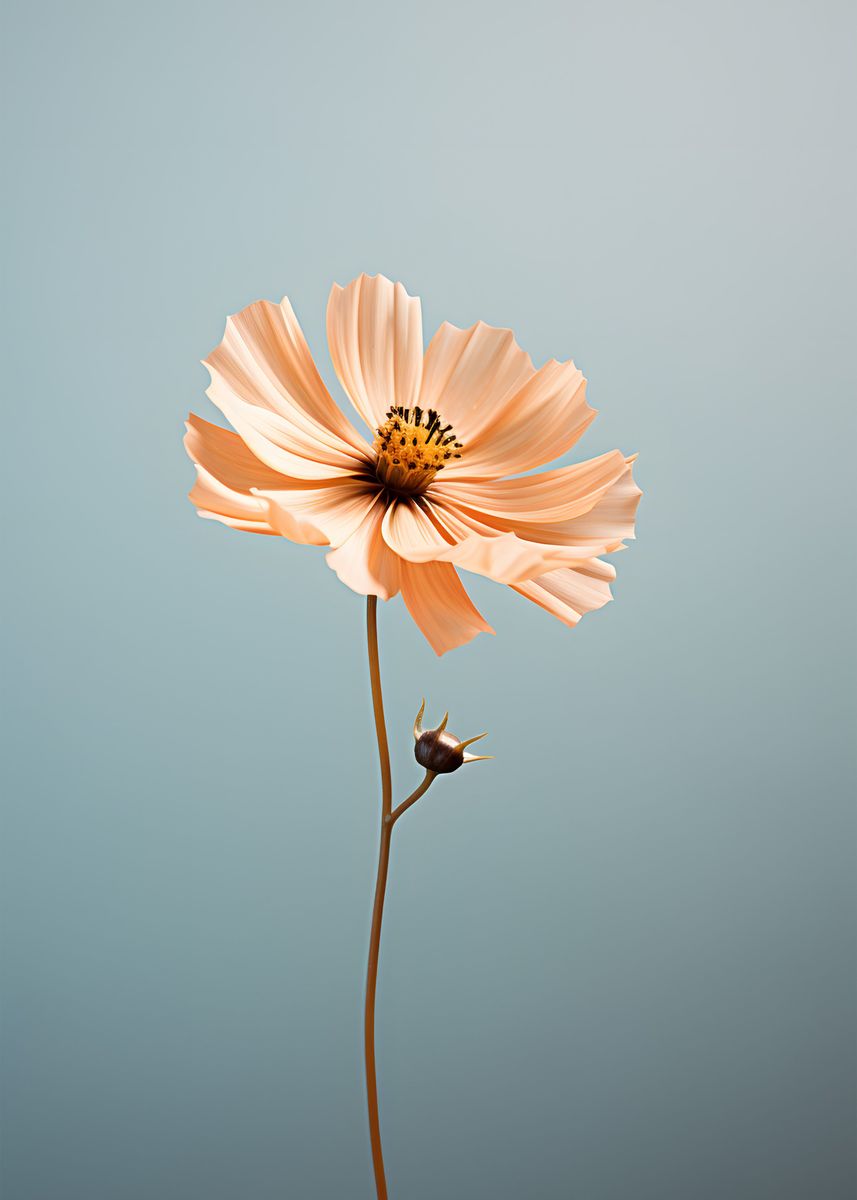 'Single Flower' Poster by Poster Fam | Displate