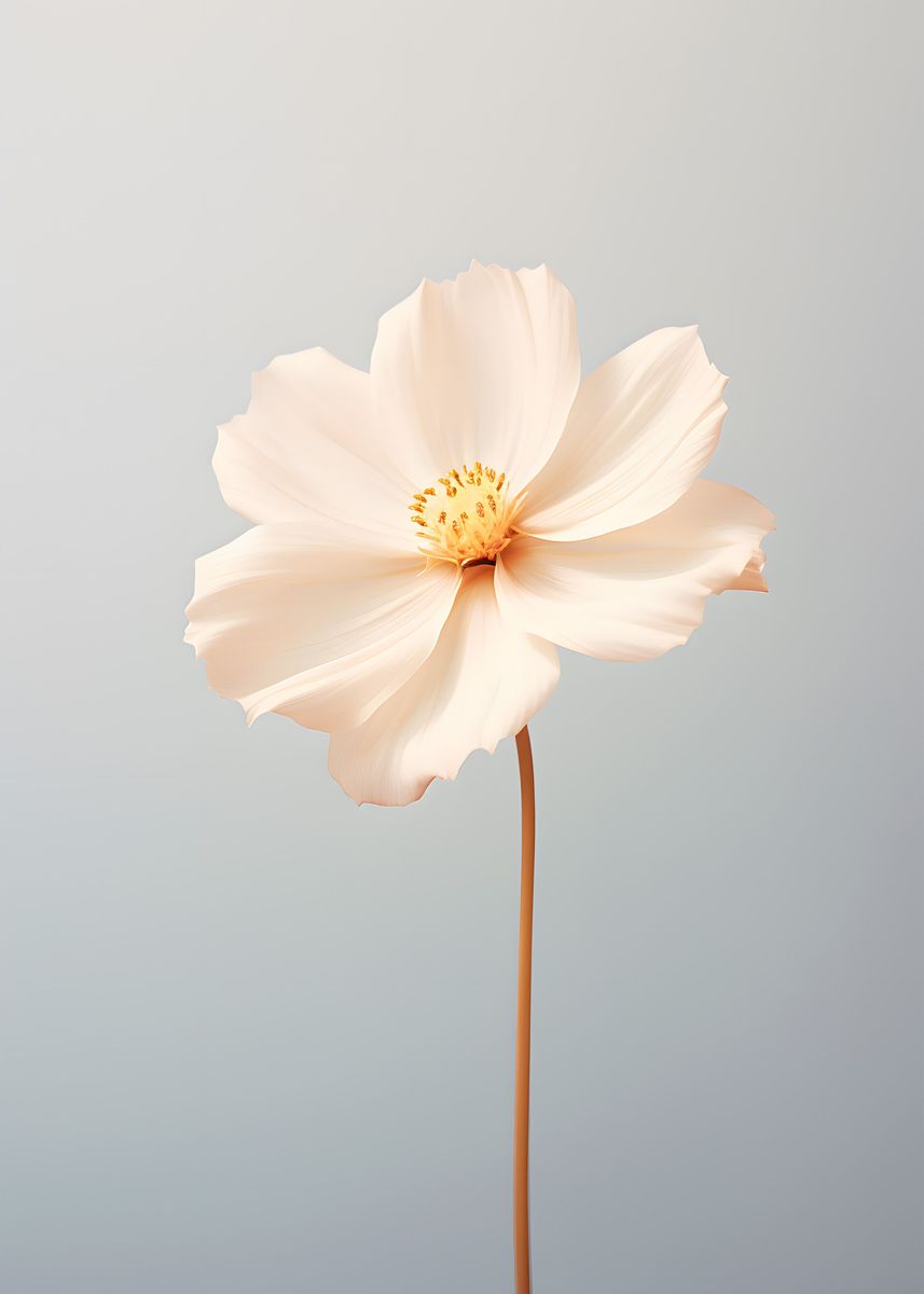 'Single Flower' Poster, picture, metal print, paint by Poster Fam ...