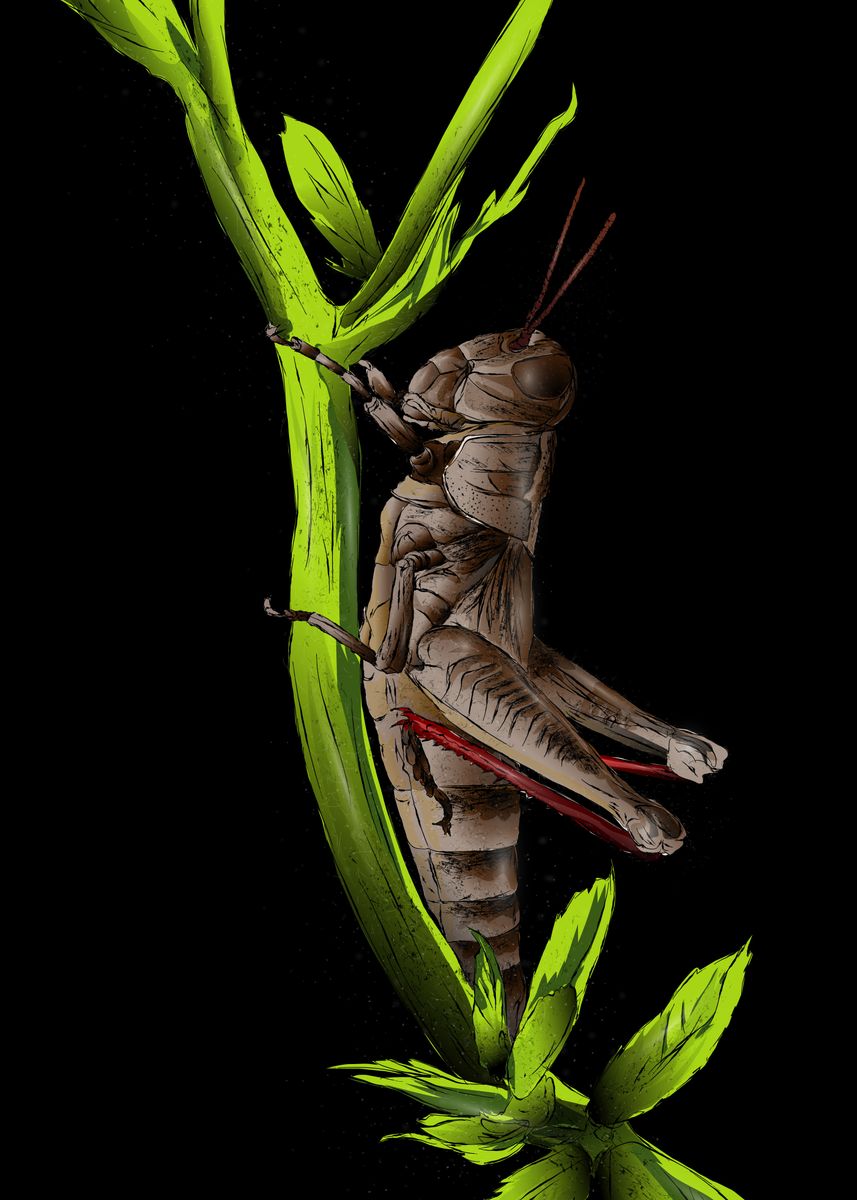 'Grasshopper' Poster, picture, metal print, paint by Shamoon Ibrahim ...