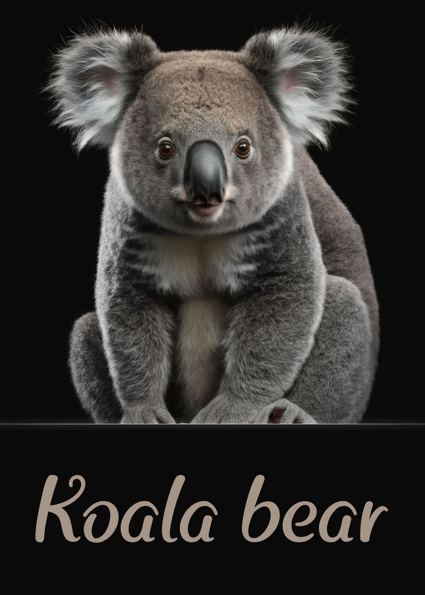 'Koala bear' Poster by Van Zelman | Displate