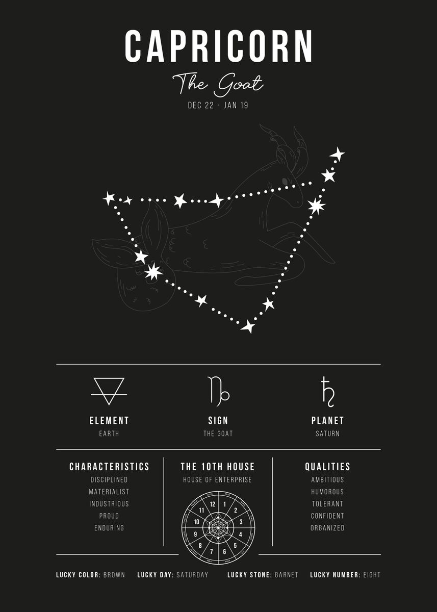 'Capricorn Zodiac Sign' Poster, picture, metal print, paint by MVDZ ...