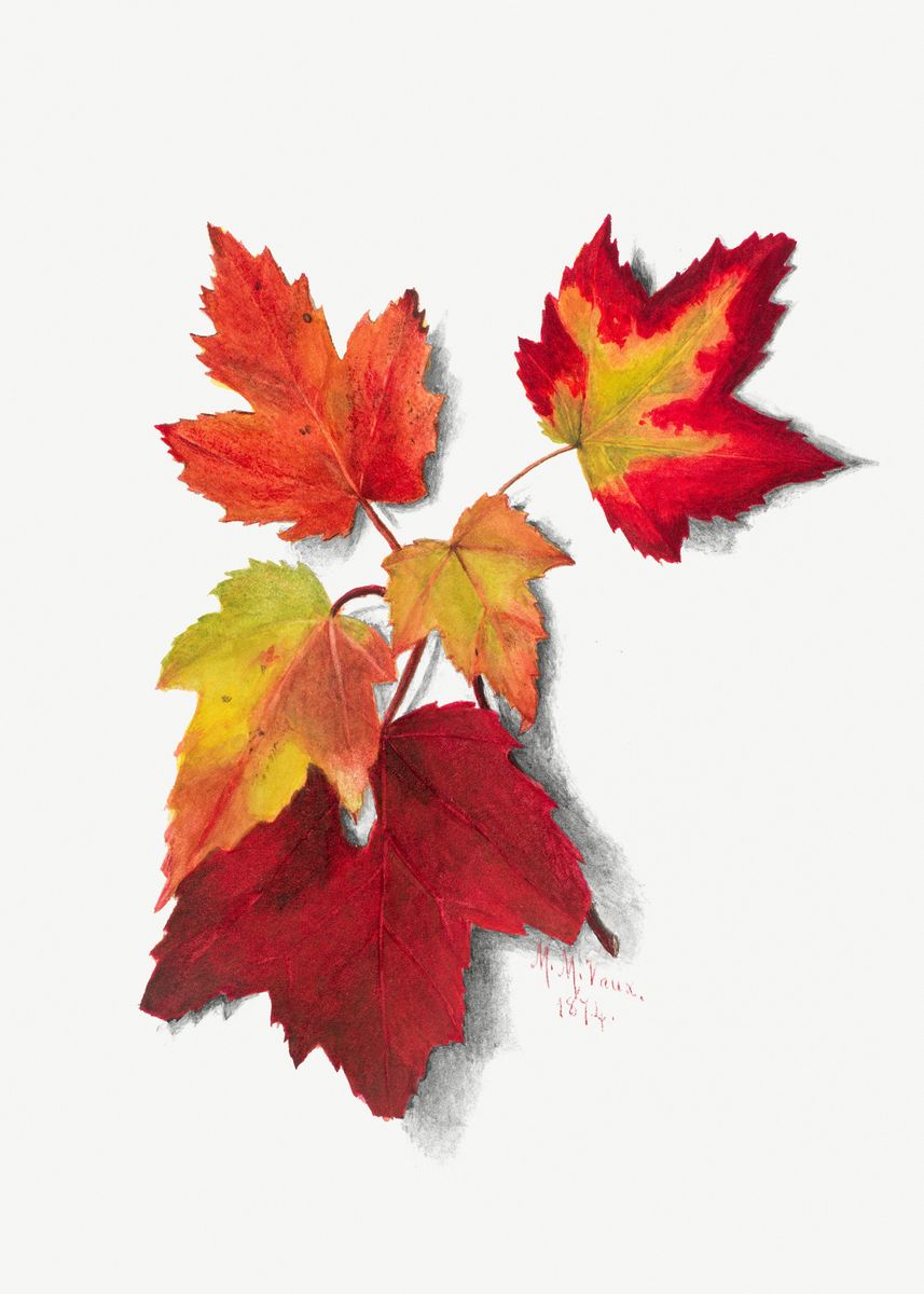 'Autumn Leaves' Poster, picture, metal print, paint by Tariq Alaghbash ...