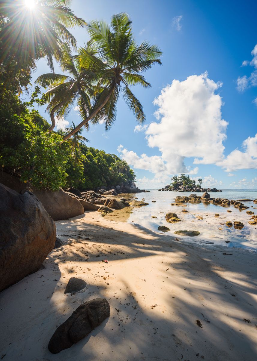 'Tropical beach with palms' Poster, picture, metal print, paint by ...