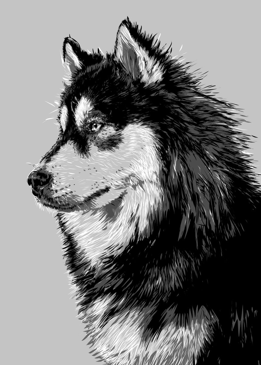'wolf ' Poster, picture, metal print, paint by Nesrin Gulistan | Displate