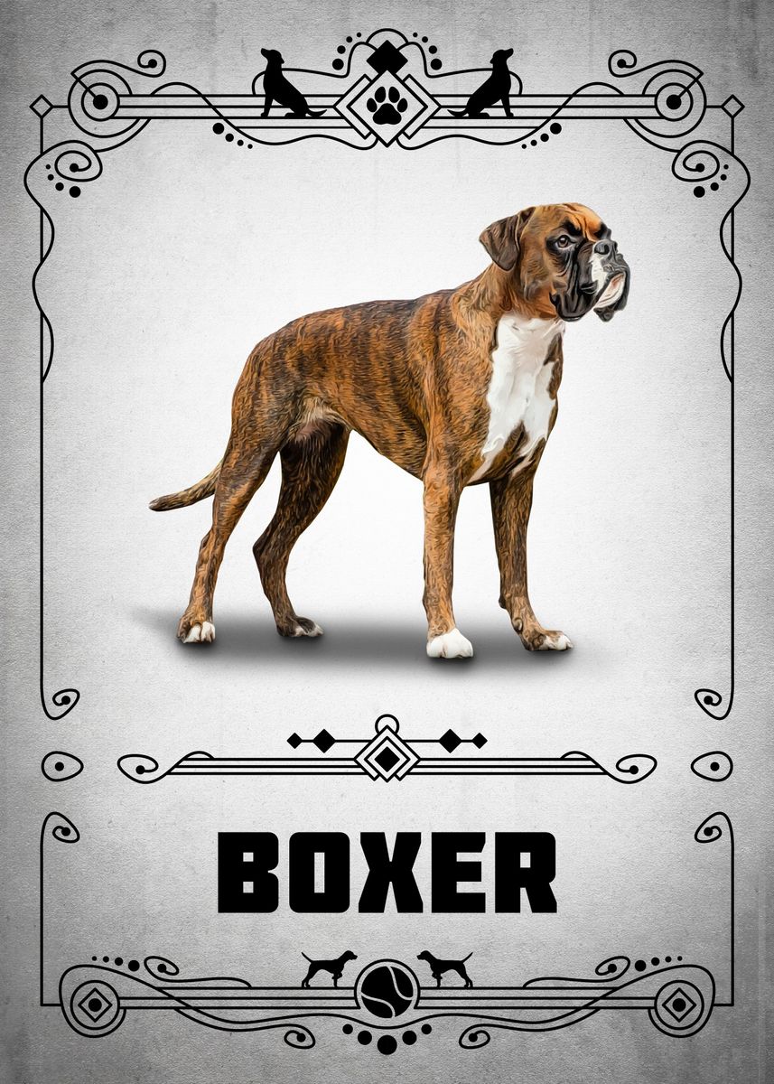 'Boxer' Poster, picture, metal print, paint by Bo Kev | Displate