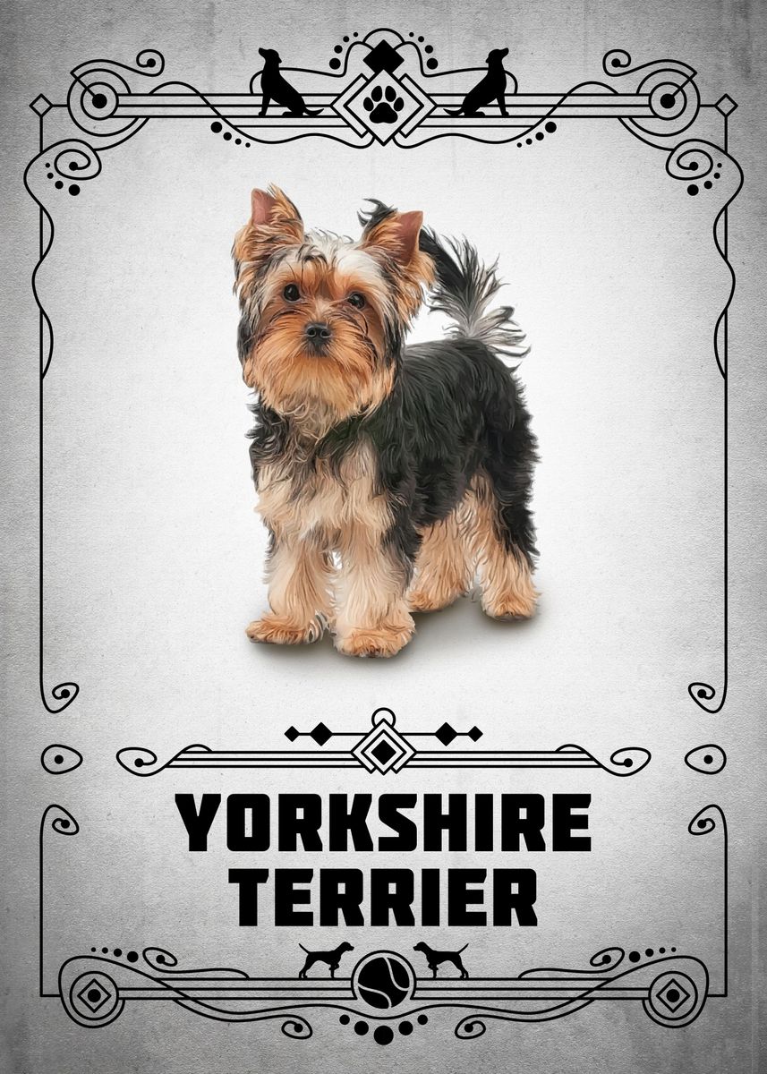 'Yorkshire Terrier' Poster, picture, metal print, paint by Bo Kev ...