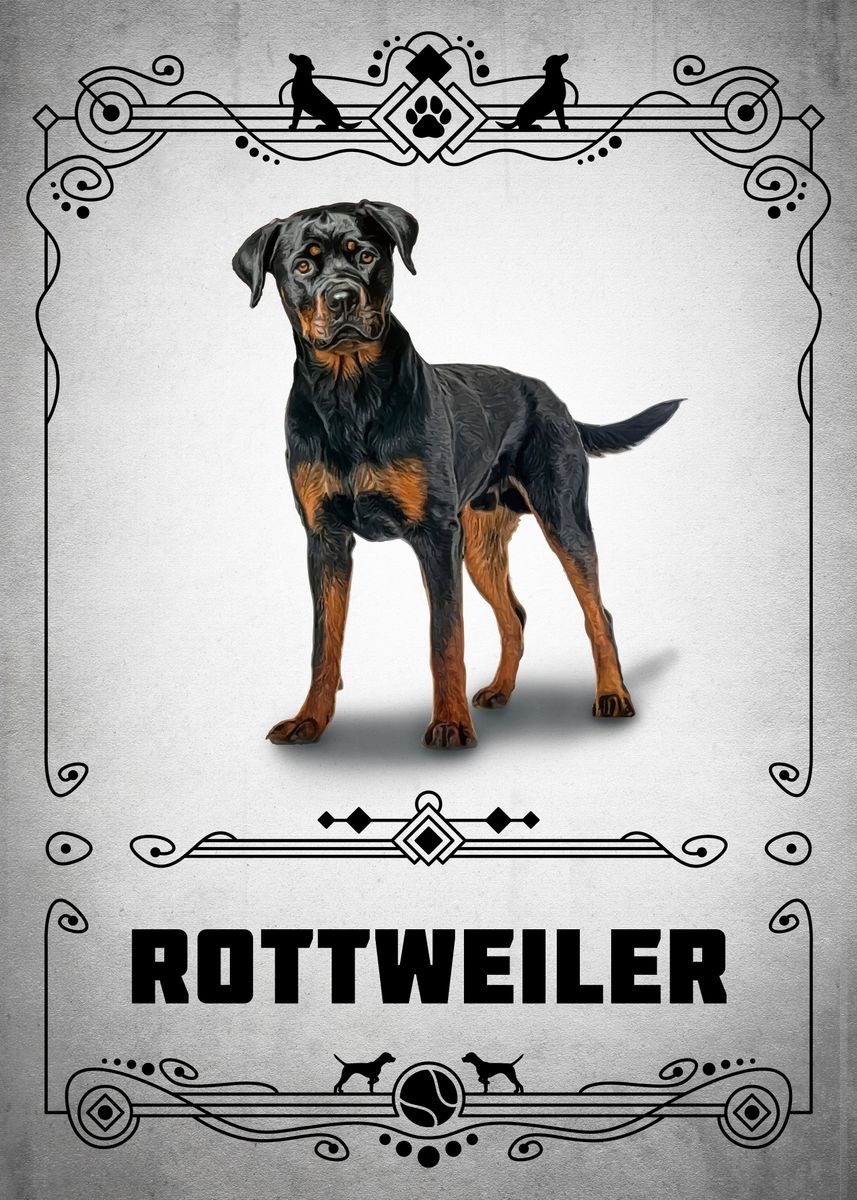 'Rottweiler' Poster, picture, metal print, paint by Bo Kev | Displate