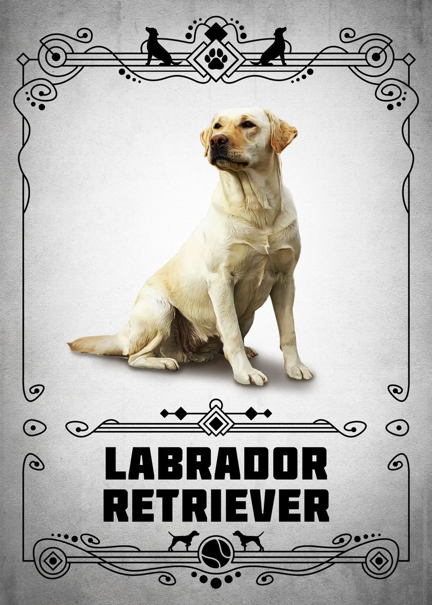 'Labrador Retriever' Poster, picture, metal print, paint by Bo Kev ...