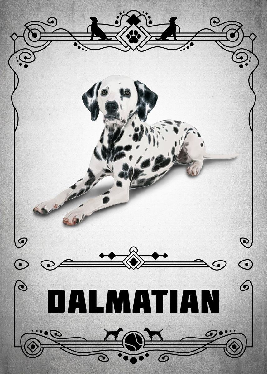 'Dalmatian' Poster, picture, metal print, paint by Bo Kev | Displate