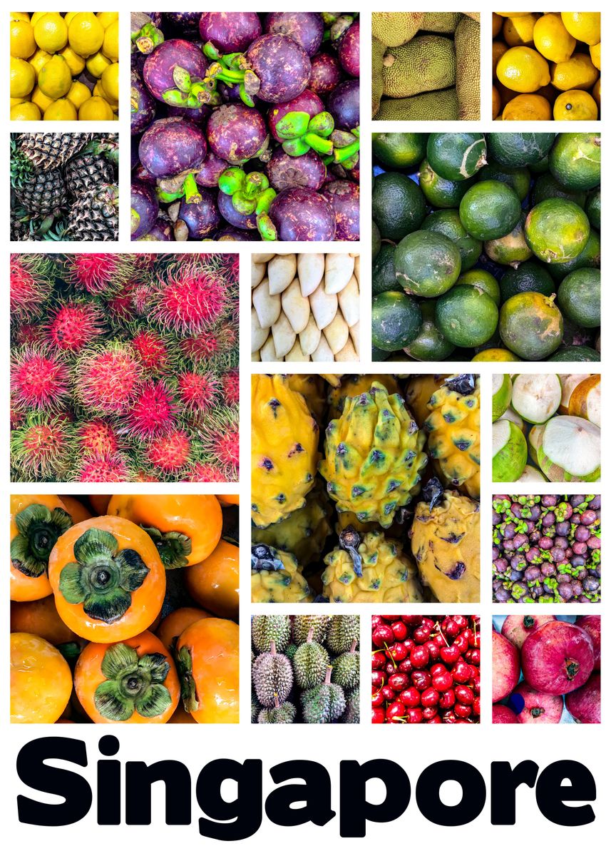 'Singapore Tropical Fruit' Poster, picture, metal print, paint by John ...