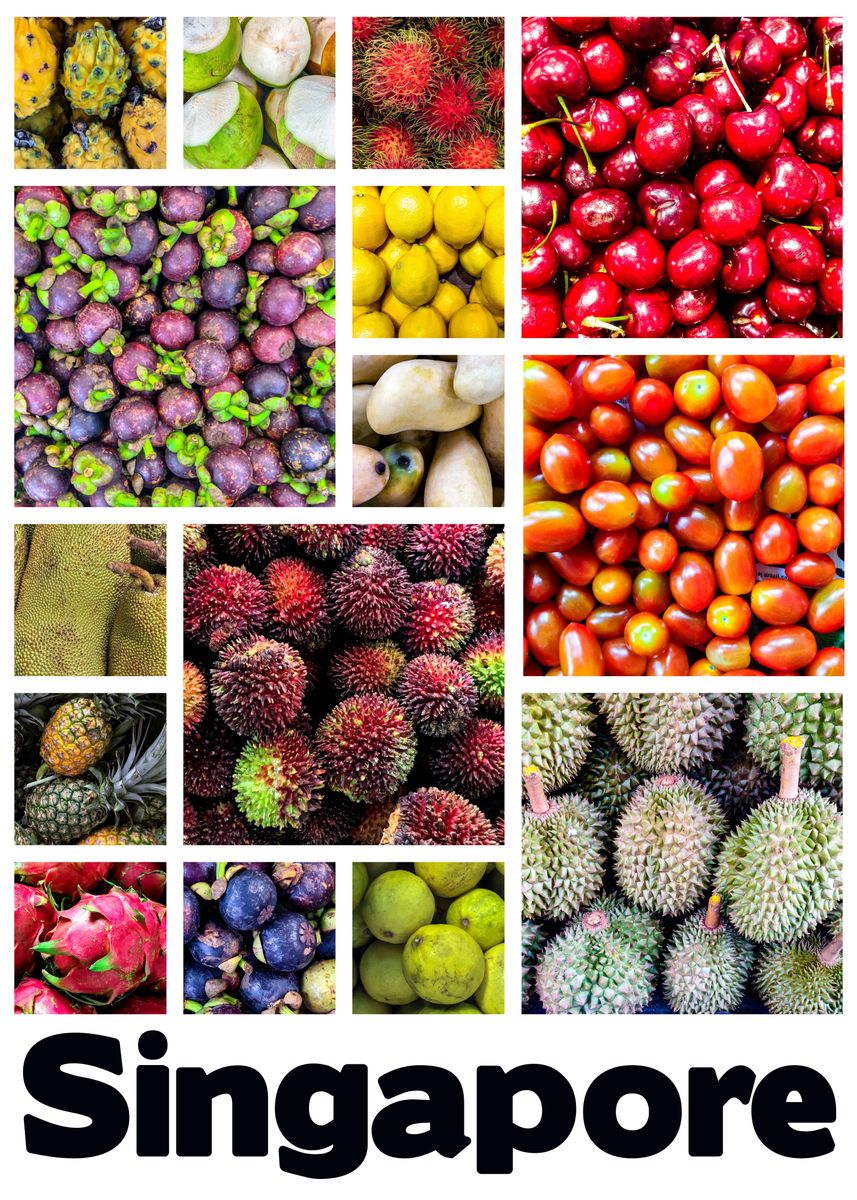 'Singapore Tropical Fruit' Poster, picture, metal print, paint by John ...
