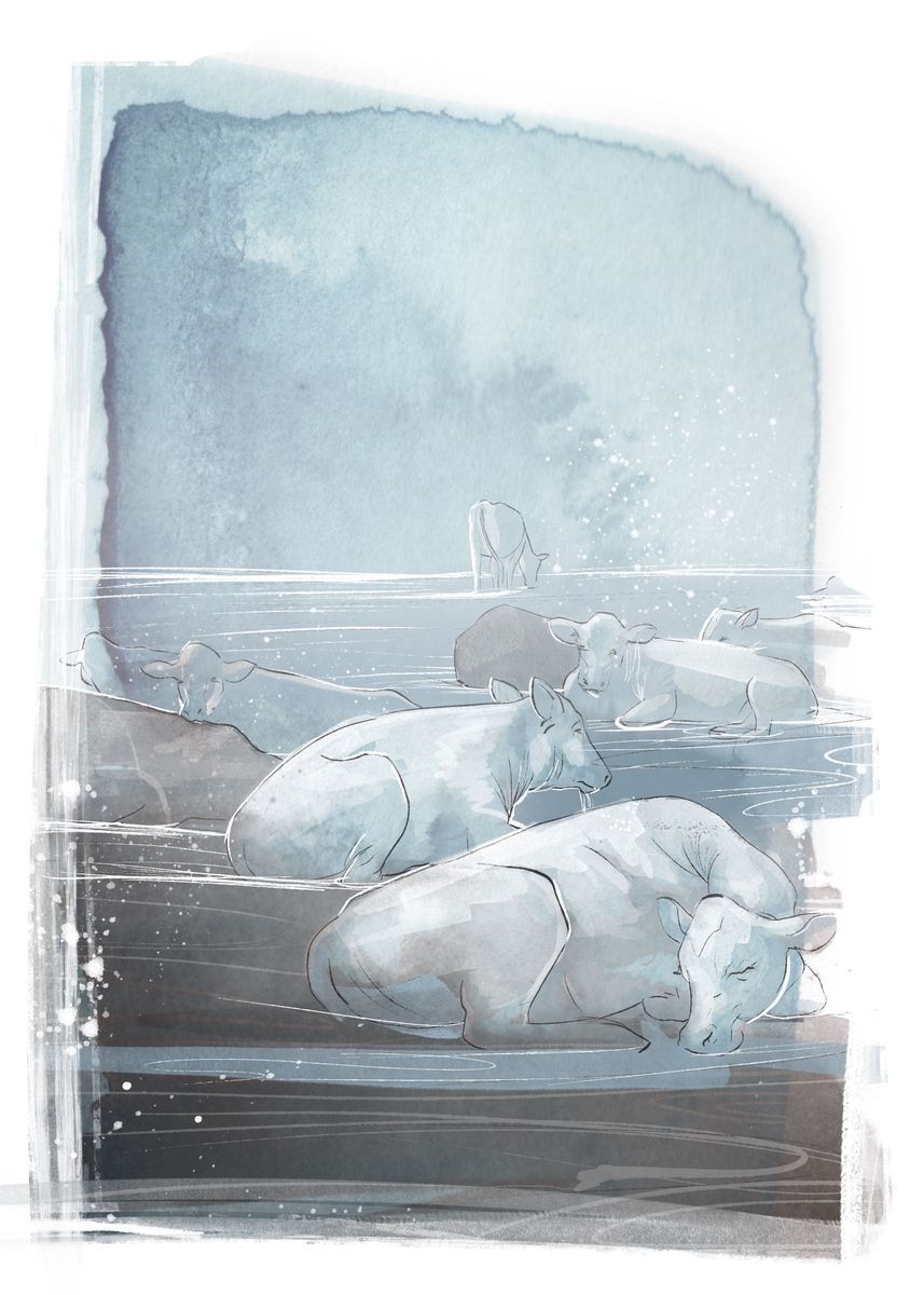 'Mysterious sea cows' Poster by Ed Labetski | Displate