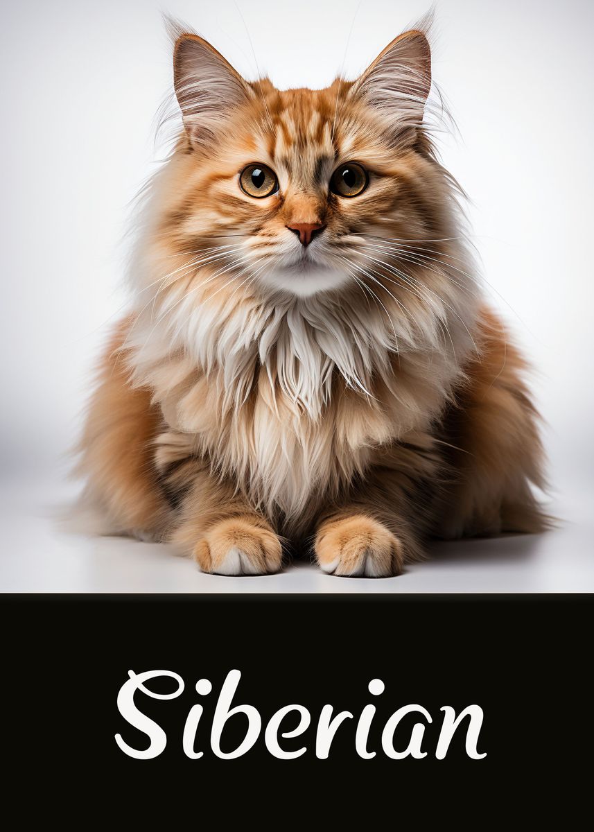 'Siberian' Poster by Van Zelman | Displate