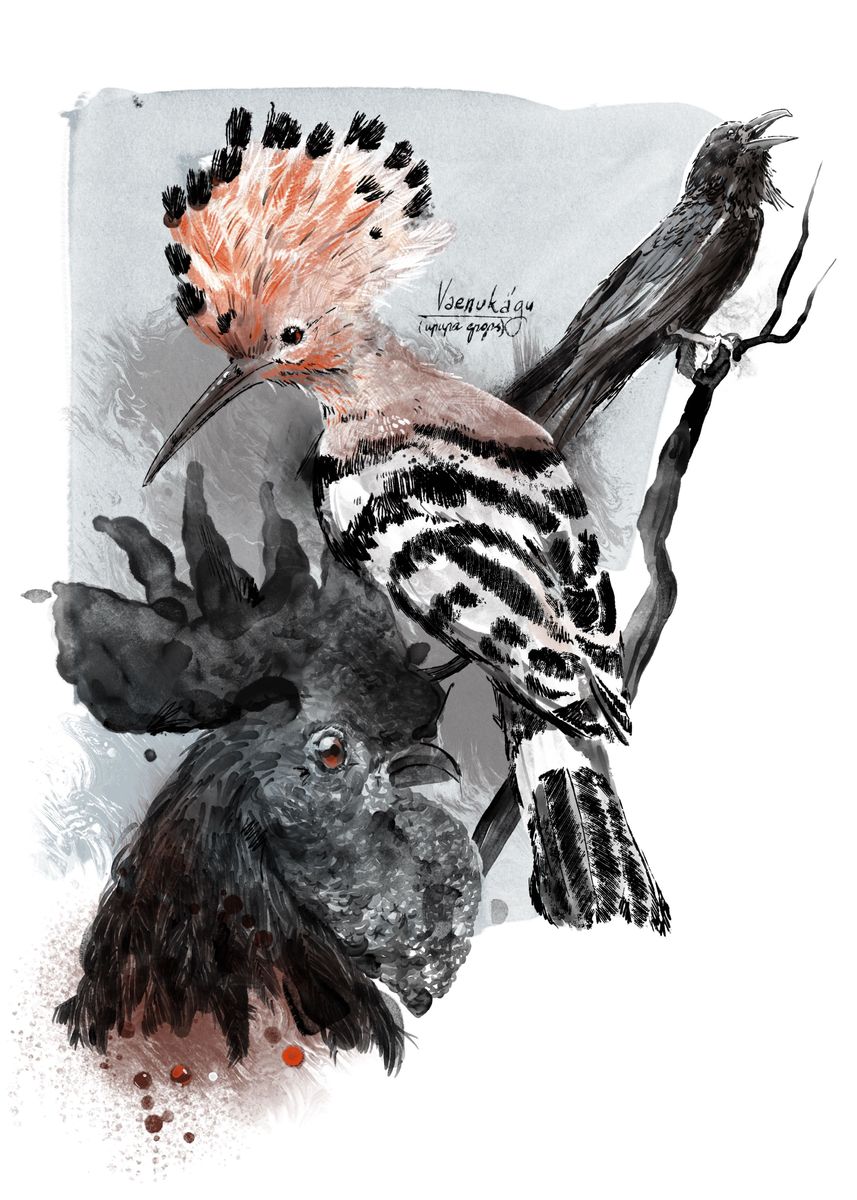 'Watercolour mythical birds' Poster, picture, metal print, paint by Ed ...