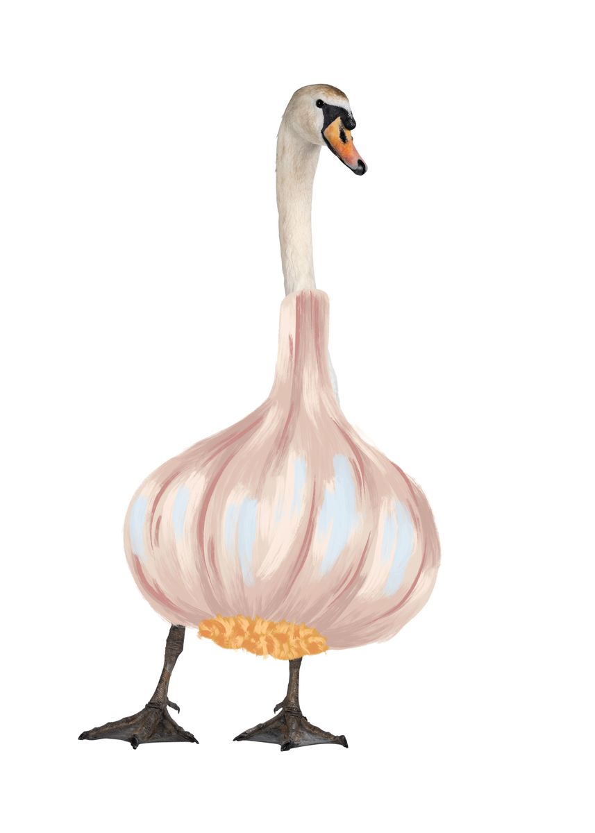 'duck garlic vector' Poster, picture, metal print, paint by Surya ...