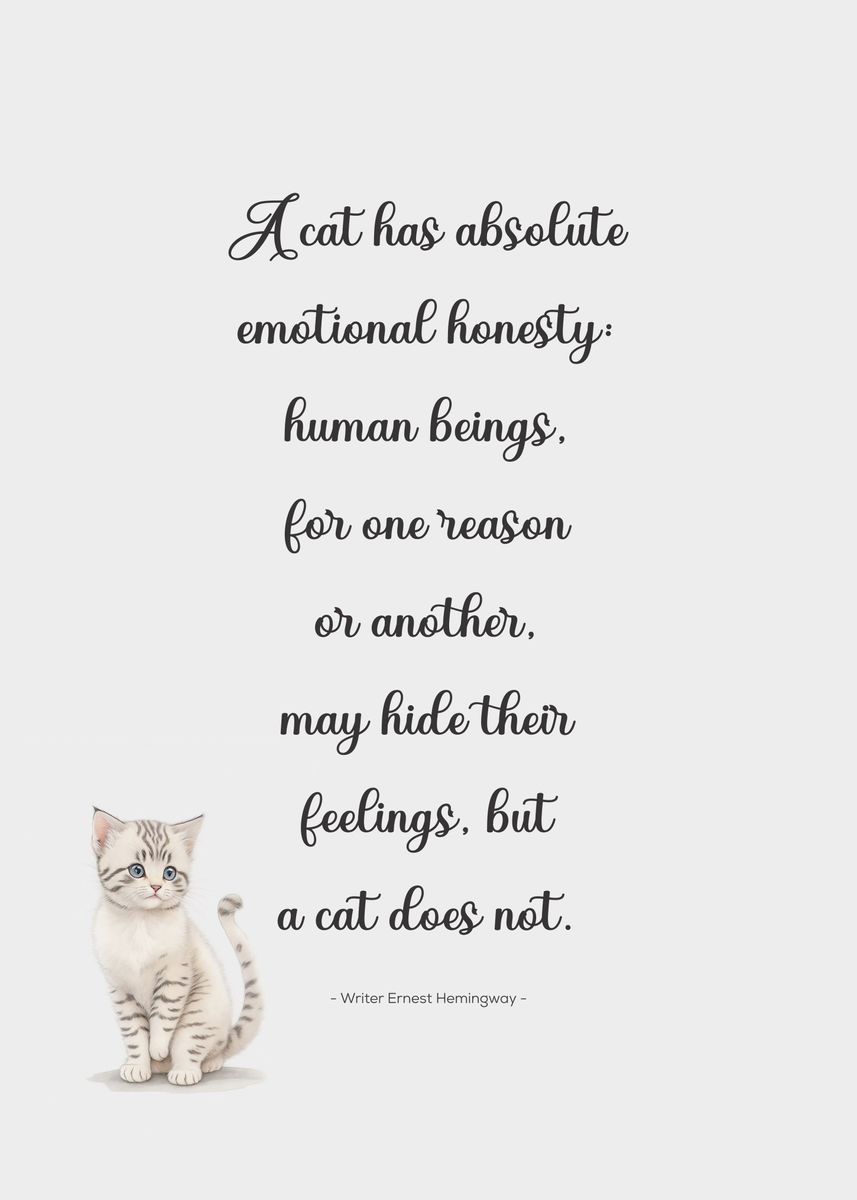 'Cat Quotes' Poster, picture, metal print, paint by d Quote | Displate