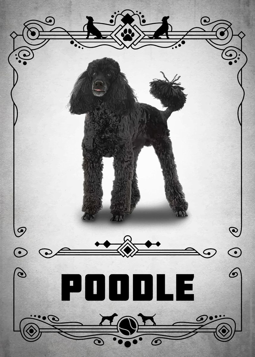 'Poodle' Poster, picture, metal print, paint by Bo Kev | Displate