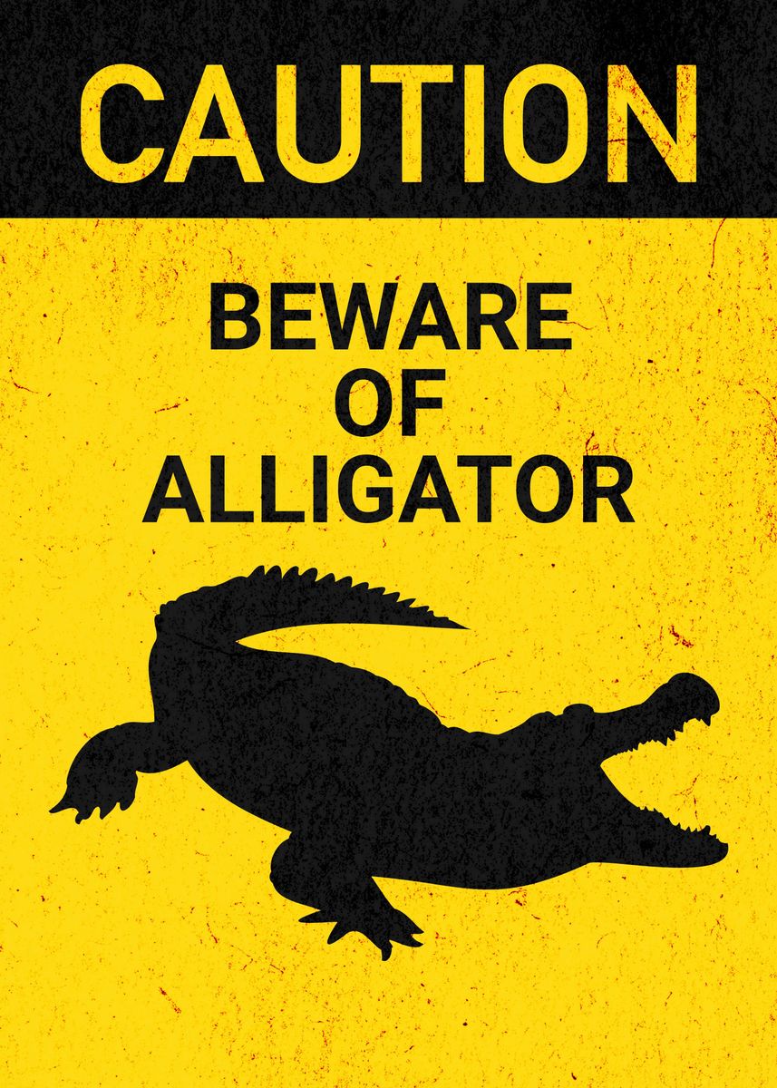 'BEWARE OF ALLIGATOR FUNNY' Poster, picture, metal print, paint by ...