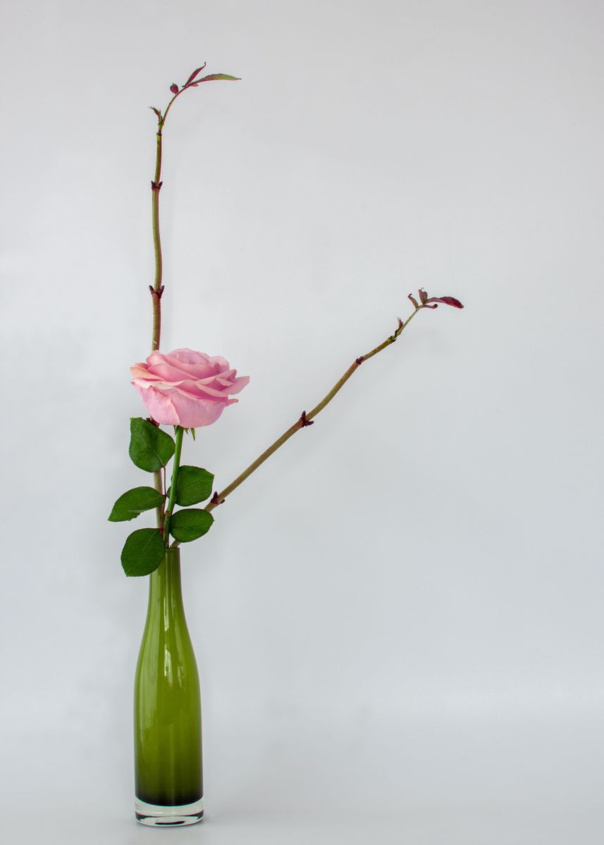 'Flower Decoration' Poster, picture, metal print, paint by zforceda iichi | Displate