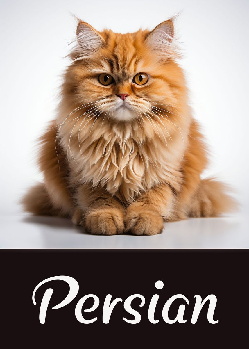 'Persian' Poster, picture, metal print, paint by Van Zelman | Displate