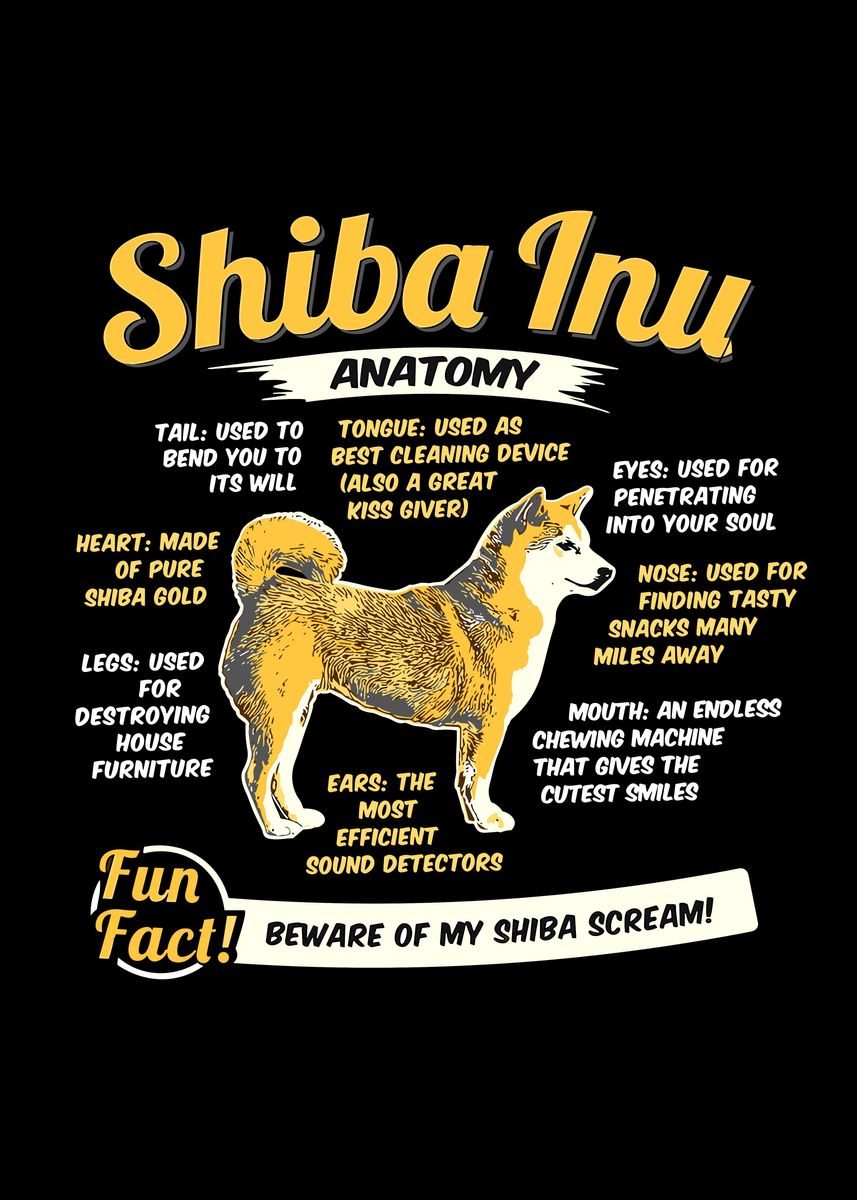 'Anatomy of pet' Poster, picture, metal print, paint by Bee Guts | Displate