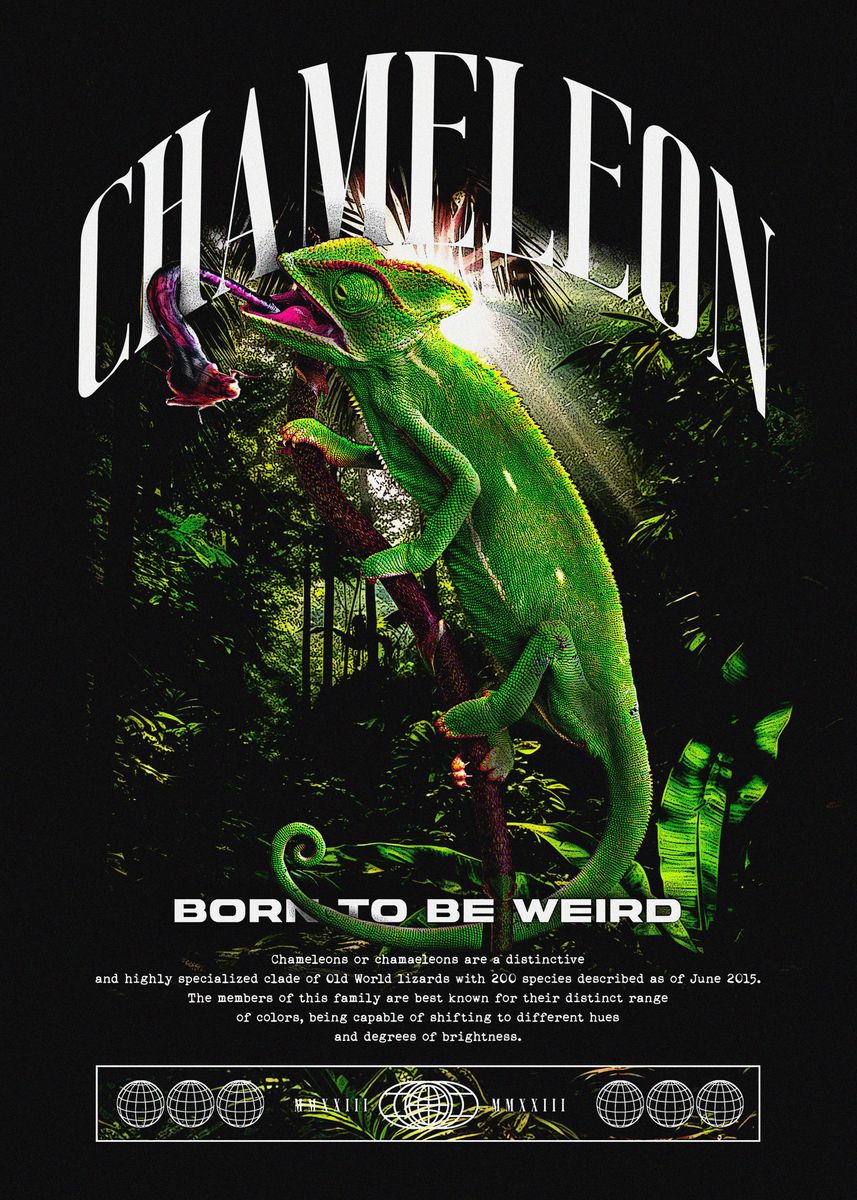 'Chameleon Rainforest' Poster, picture, metal print, paint by Jon ...