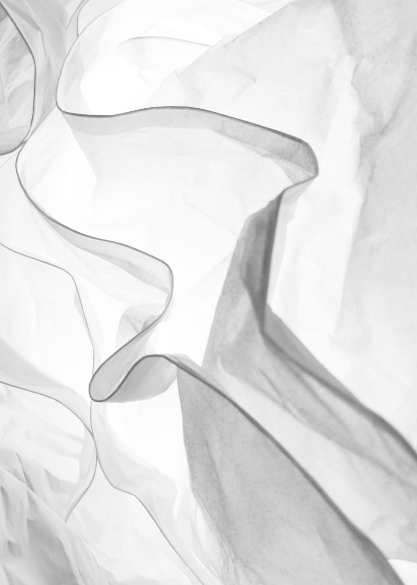 'Grey Breath' Poster, picture, metal print, paint by chacha chella ...