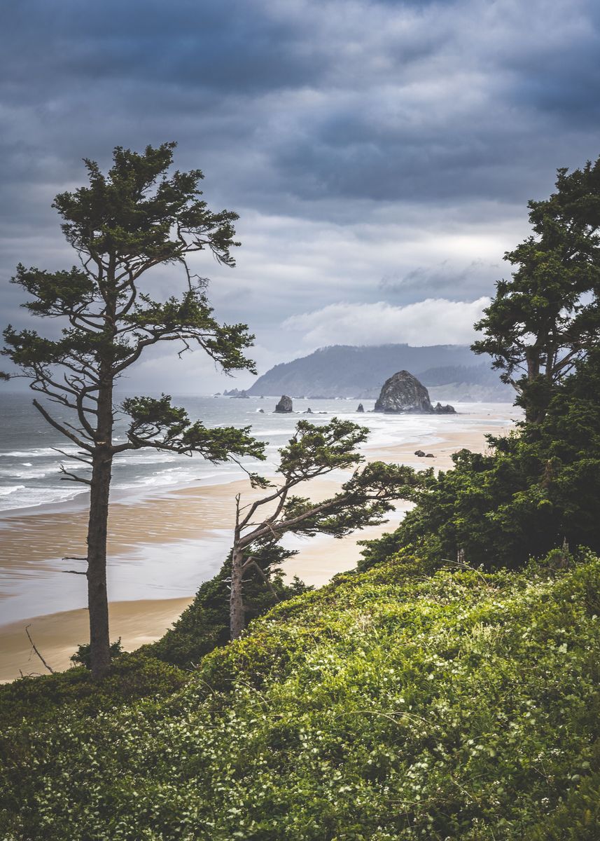 'Cannon Beach' Poster, picture, metal print, paint by Matt Cool | Displate