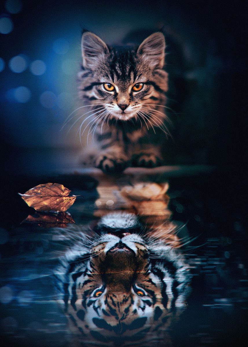 'Cat And Tiger' Poster, picture, metal print, paint by P U F F Y | Displate