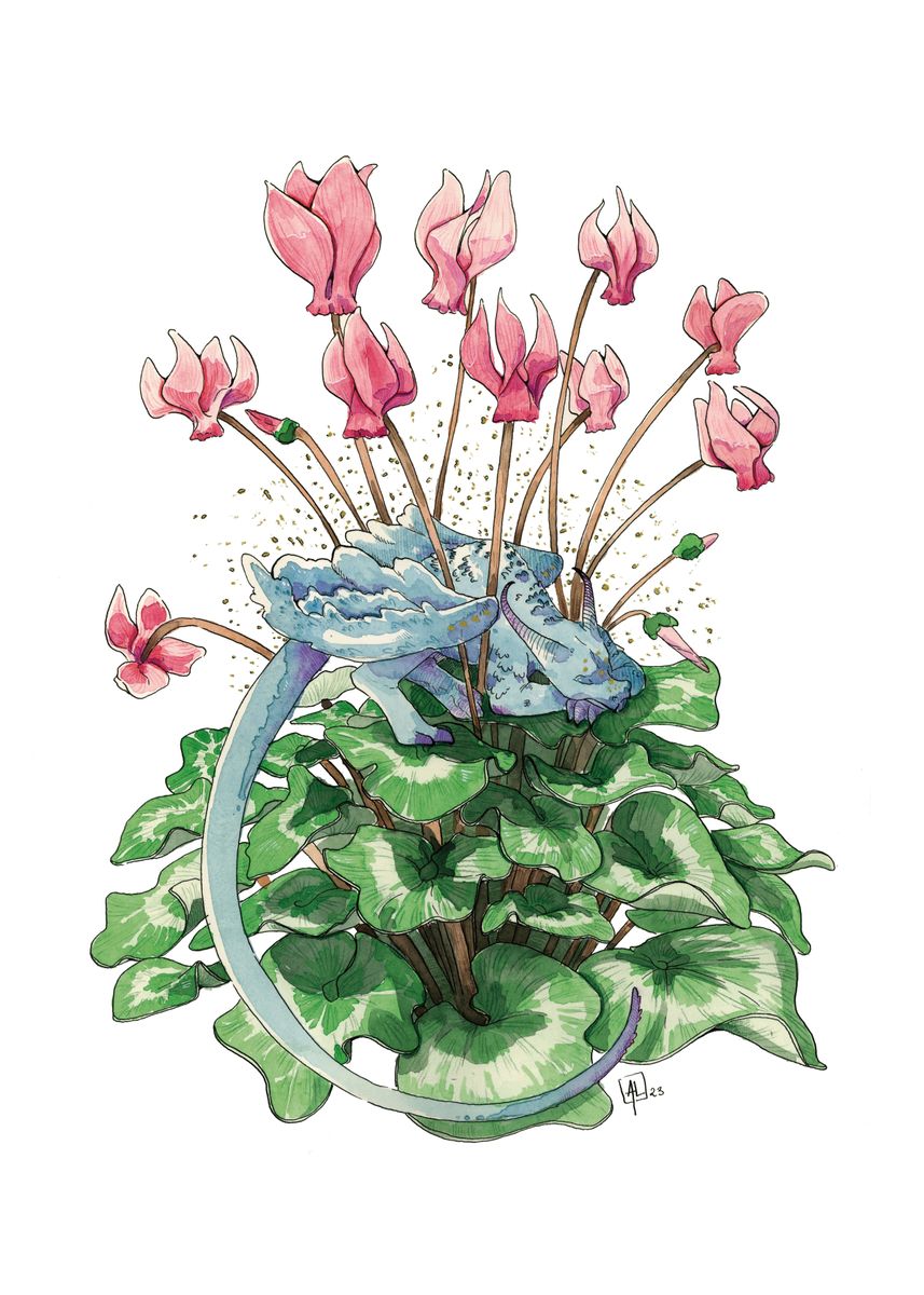 'Cyclamen' Poster, picture, metal print, paint by Anais Leandre | Displate